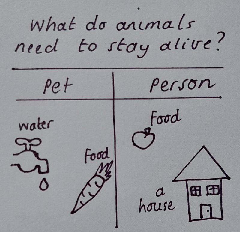 Lesson 1 • Living in the schoolyard | Primary Connections